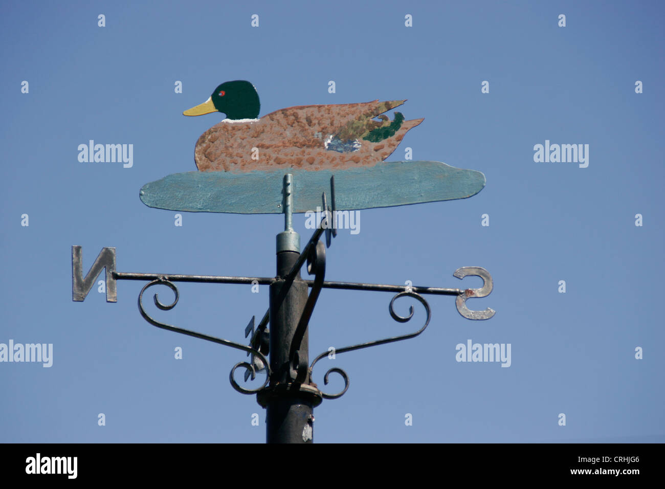 Duck weathervane Letheringsett Norfolk England UK Stock Photo - Alamy