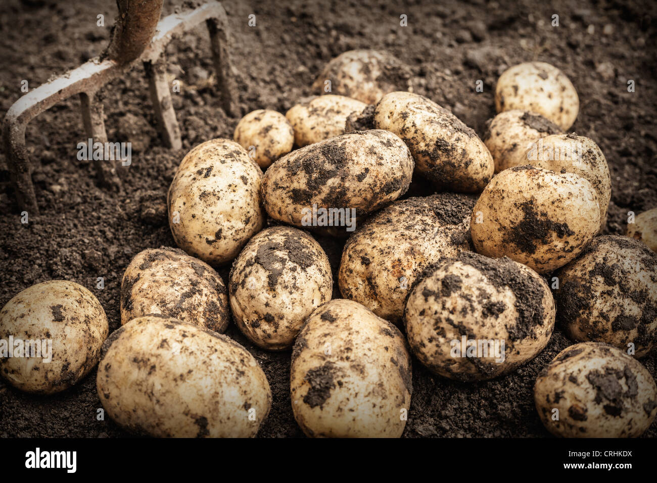 High in carbohydrate hi-res stock photography and images - Alamy