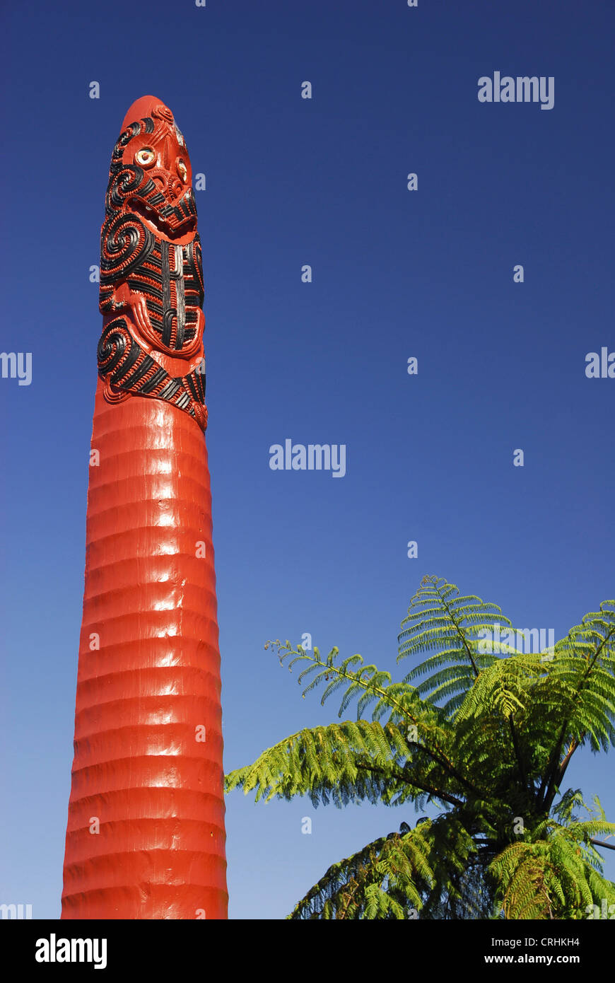 Maori statue, New Zealand Stock Photo - Alamy