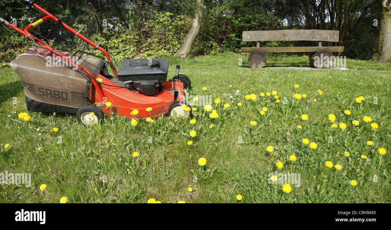 Power mowers hi-res stock photography and images - Alamy