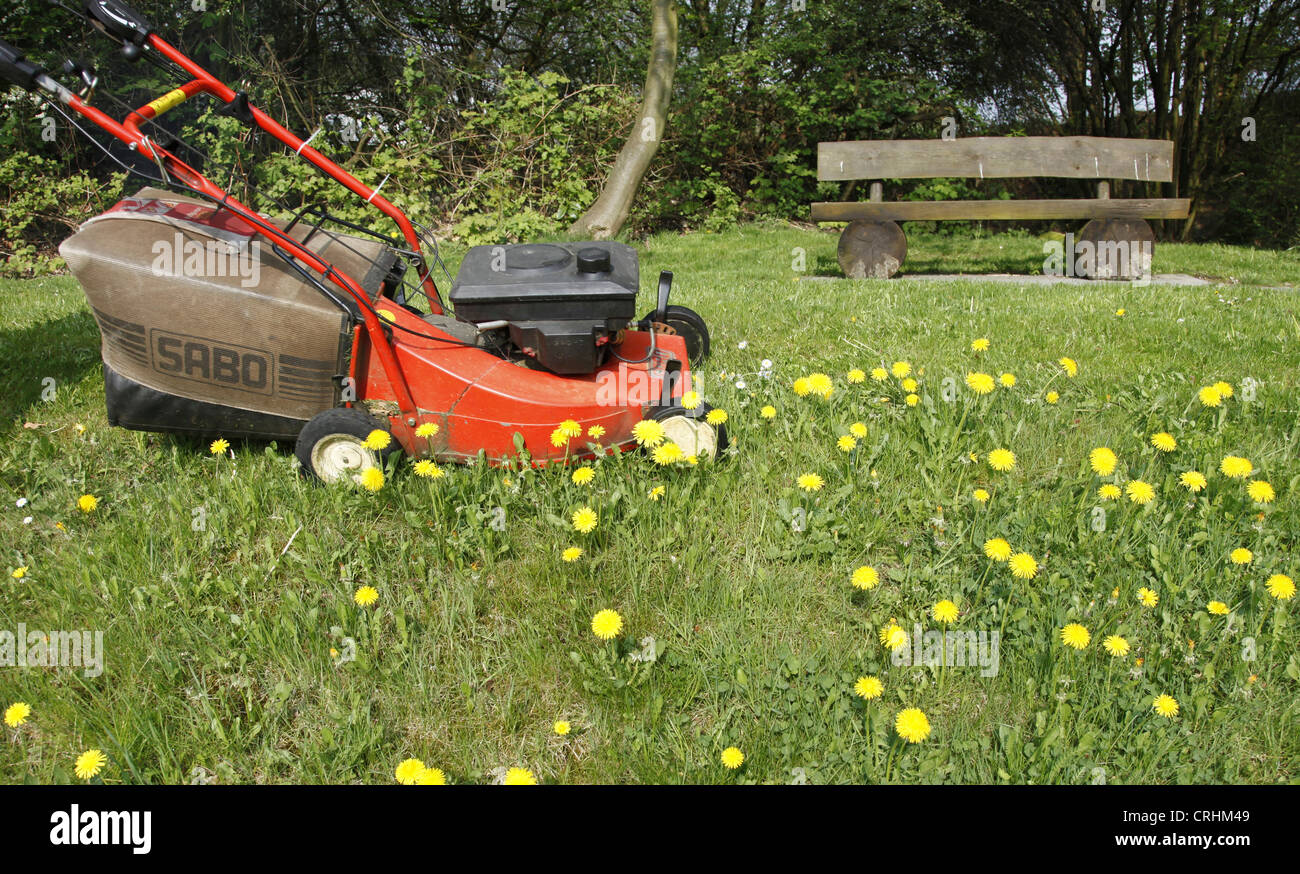 Mower lawnmowers hi-res stock photography and images - Alamy