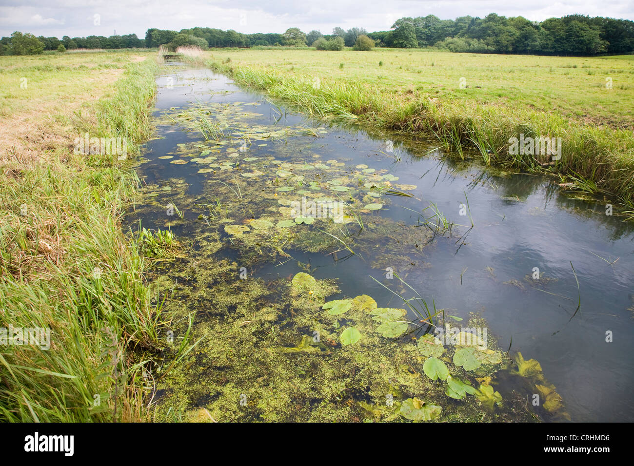 Drainage ditch wetland marshes Shipmeadow Suffolk England Stock Photo ...
