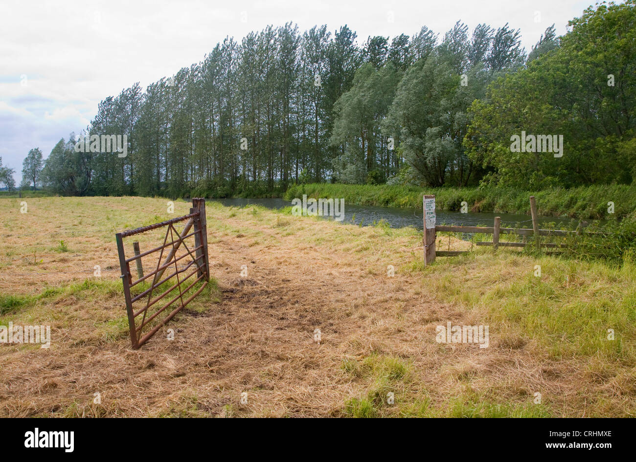 River Waveney valley upstream Geldeston Lock Norfolk England Stock ...