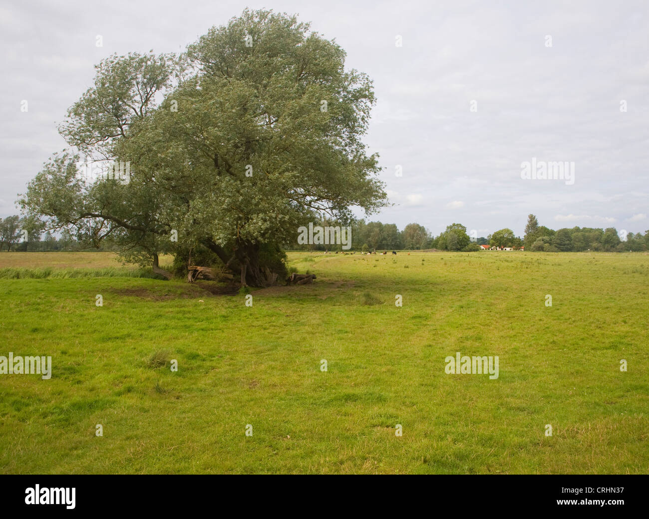 Shipmeadow suffolk hi-res stock photography and images - Alamy