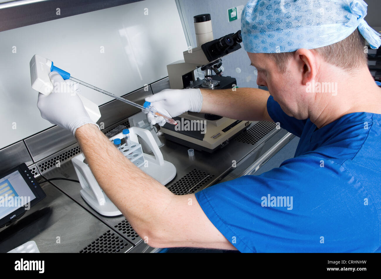 Sperm fertilizing egg hi-res stock photography and images - Alamy