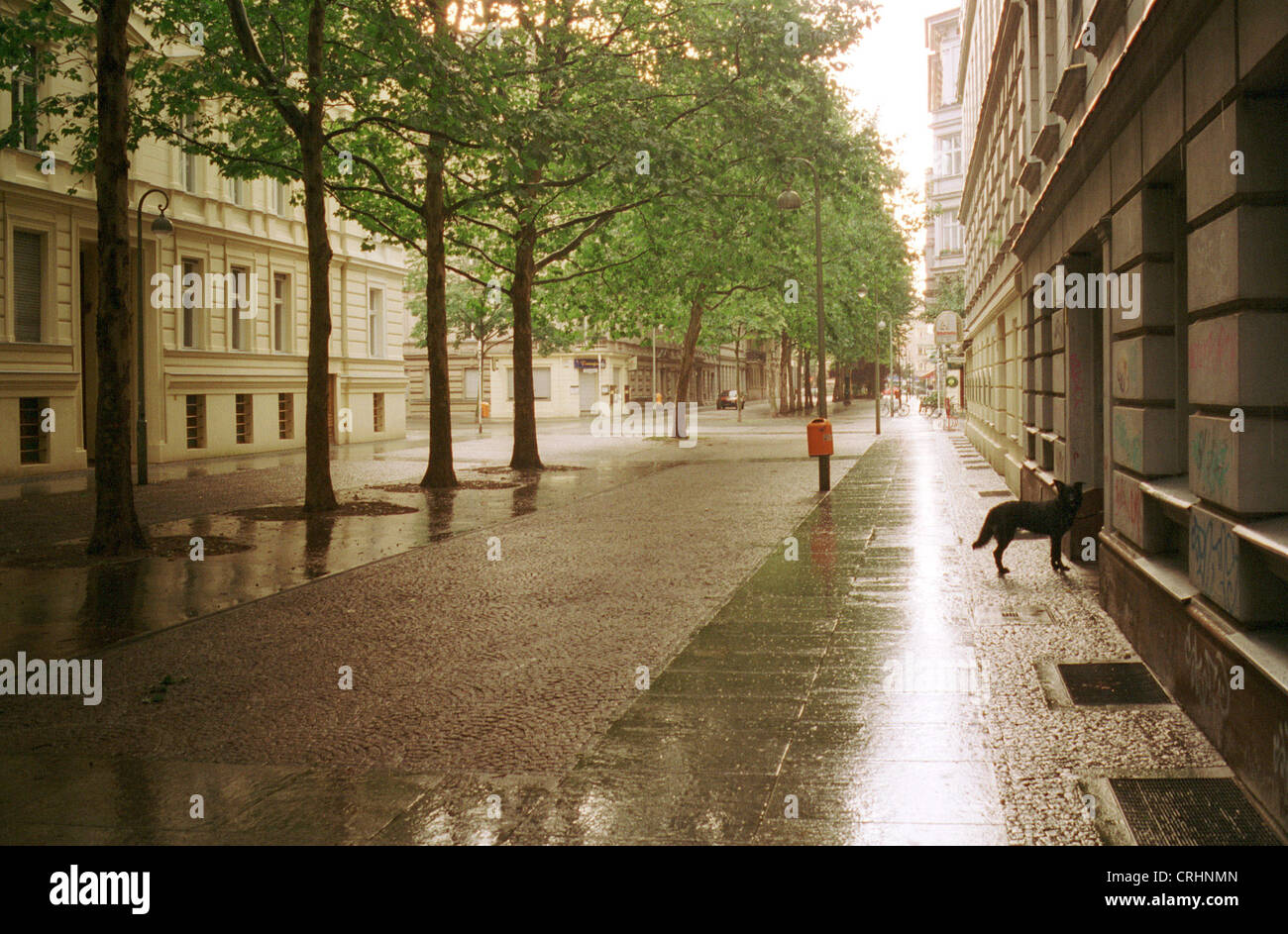 Berlin, Germany, rainy street in Schoeneberg Stock Photo - Alamy