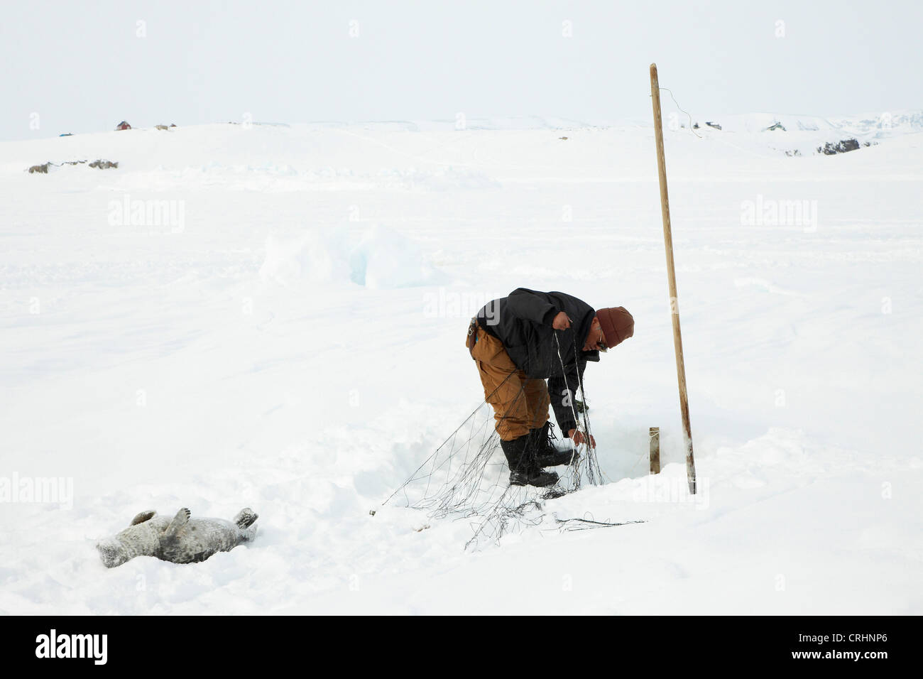 Inuit Hunting Seal High Resolution Stock Photography and Images - Alamy