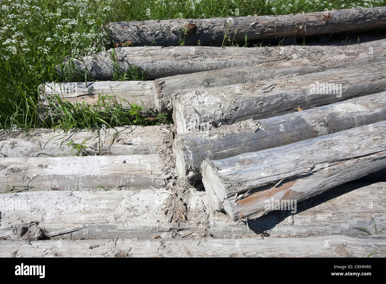 Grey gray mud hi-res stock photography and images - Alamy
