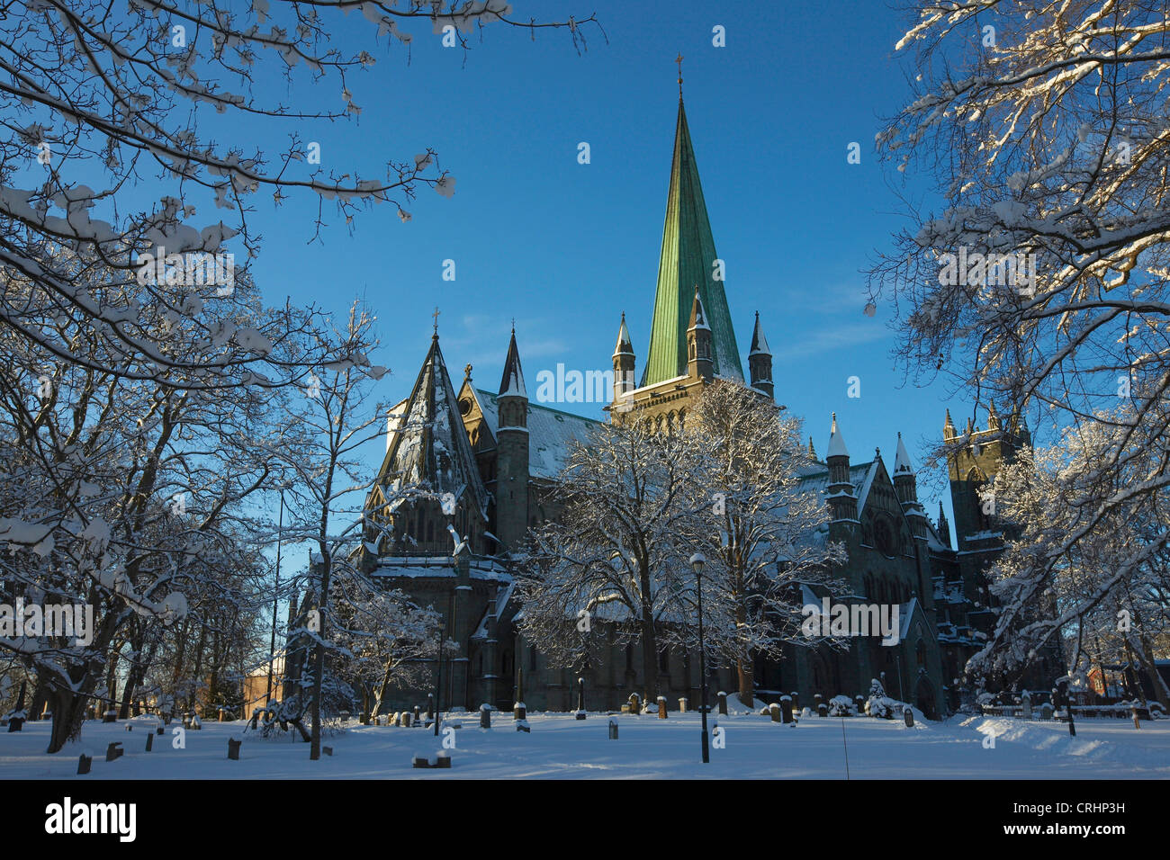 Nidaros Cathedral Mayhem