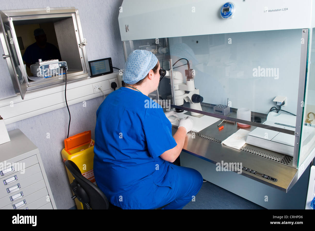 Sperm fertilizing egg hi-res stock photography and images - Alamy