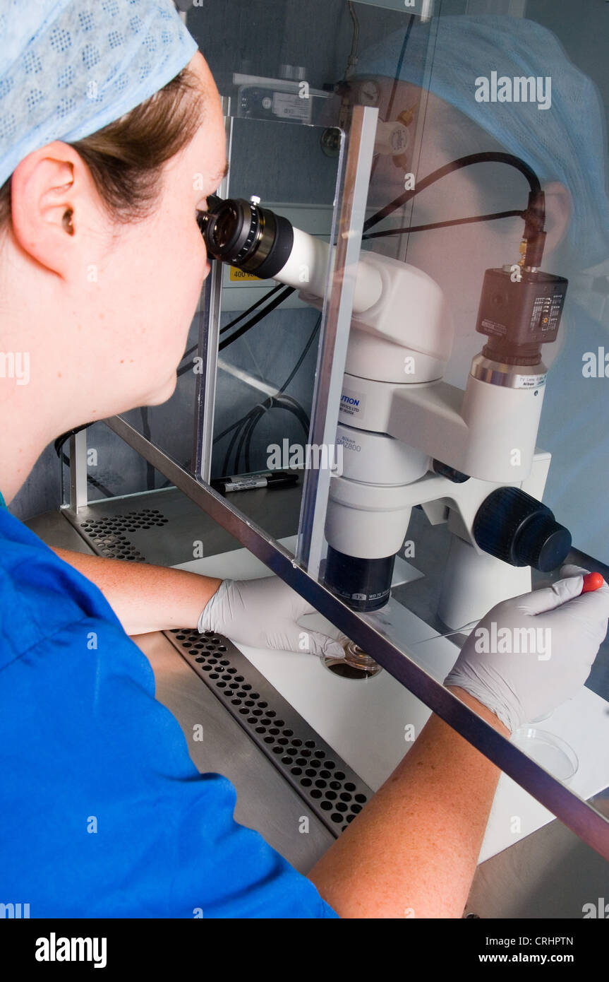 Fertilizing hi-res stock photography and images - Alamy