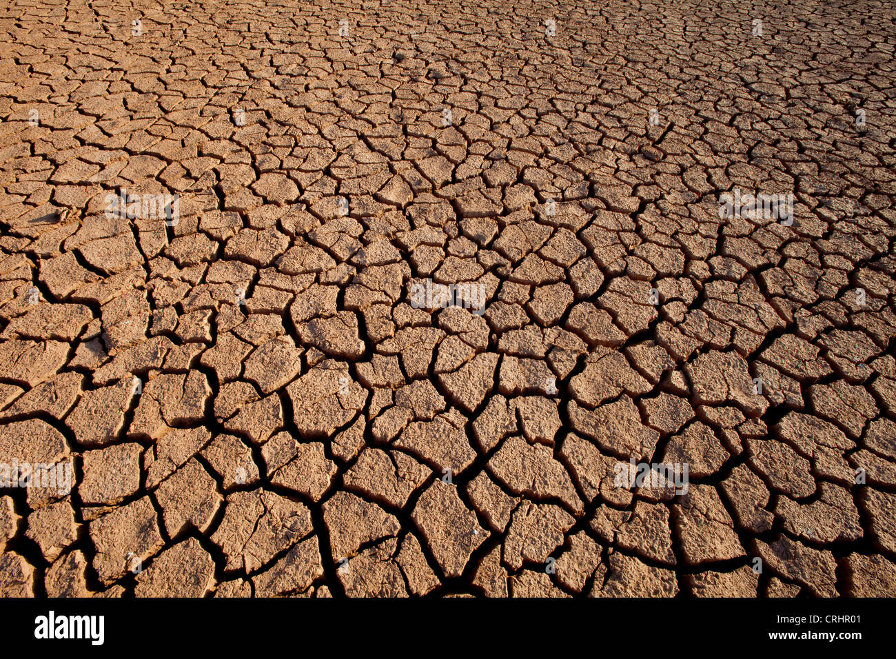 Cracked soil in Sarigua national park (desert), in the Herrera province ...