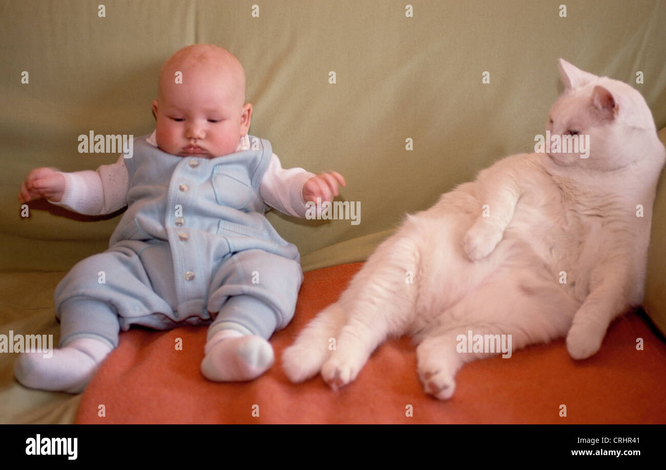 Baby with Cat Stock Photo - Alamy