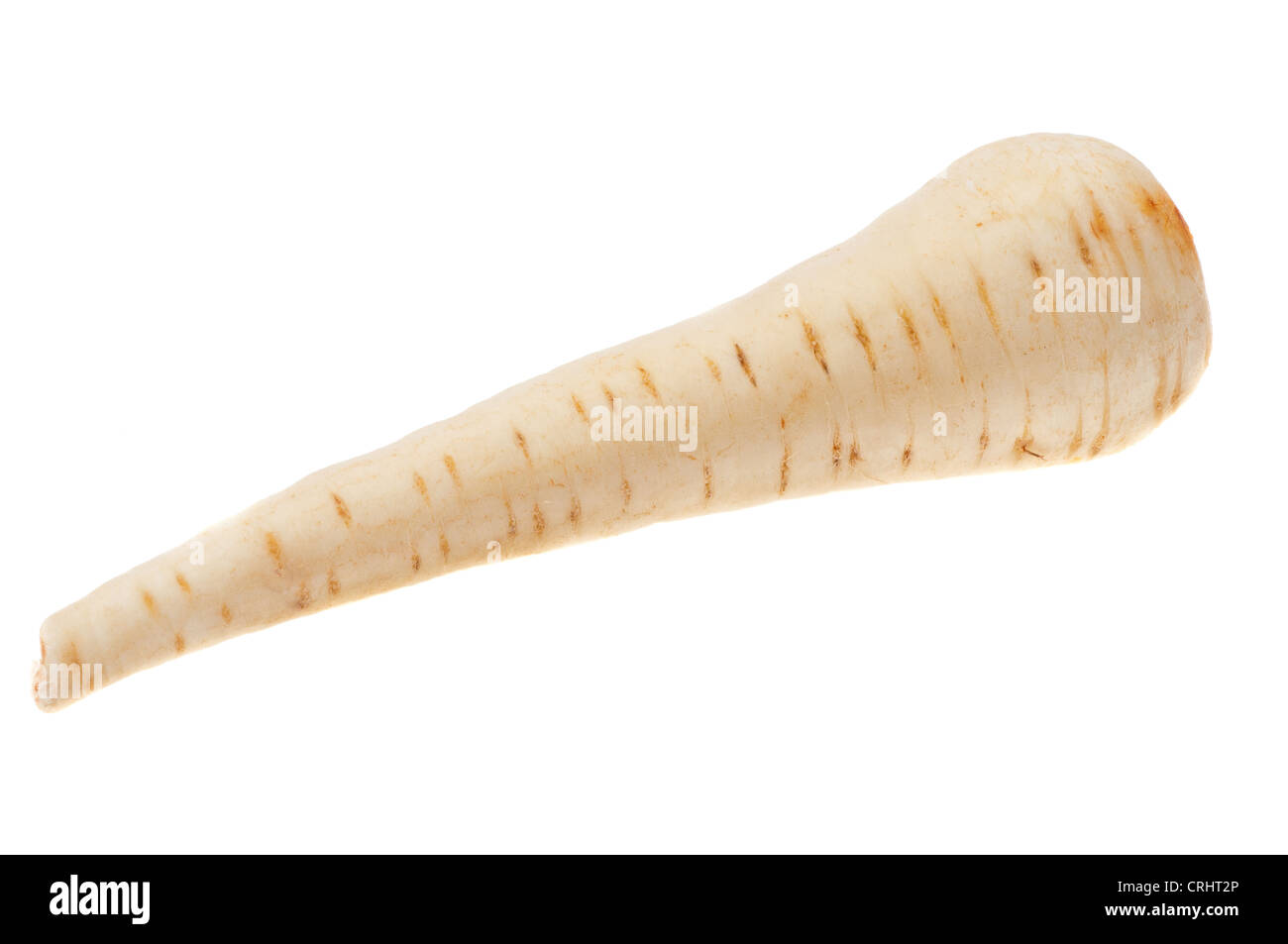 Single parsnip - studio shot with a white background Stock Photo - Alamy