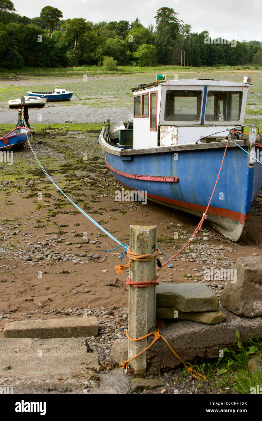 Montrose basin montrose angus scotland hi-res stock photography and ...
