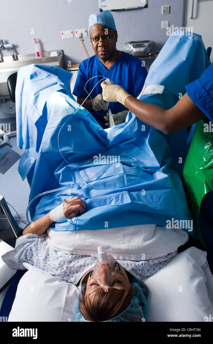 the egg is being collected for ivf treatment Stock Photo - Alamy the egg is being collected for ivf treatment Stock Photo - Alamy