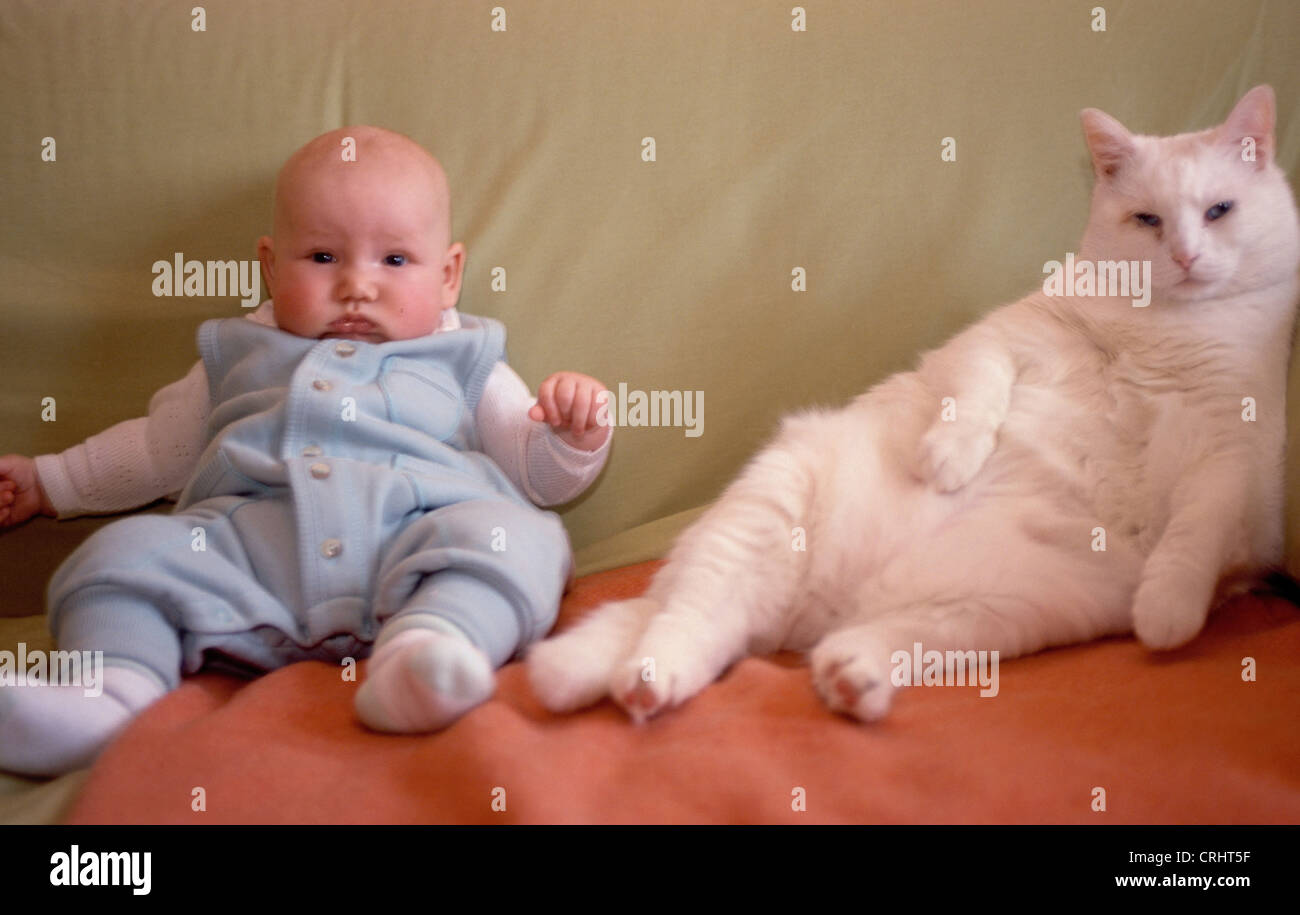 Baby and cat hi-res stock photography and images - Alamy