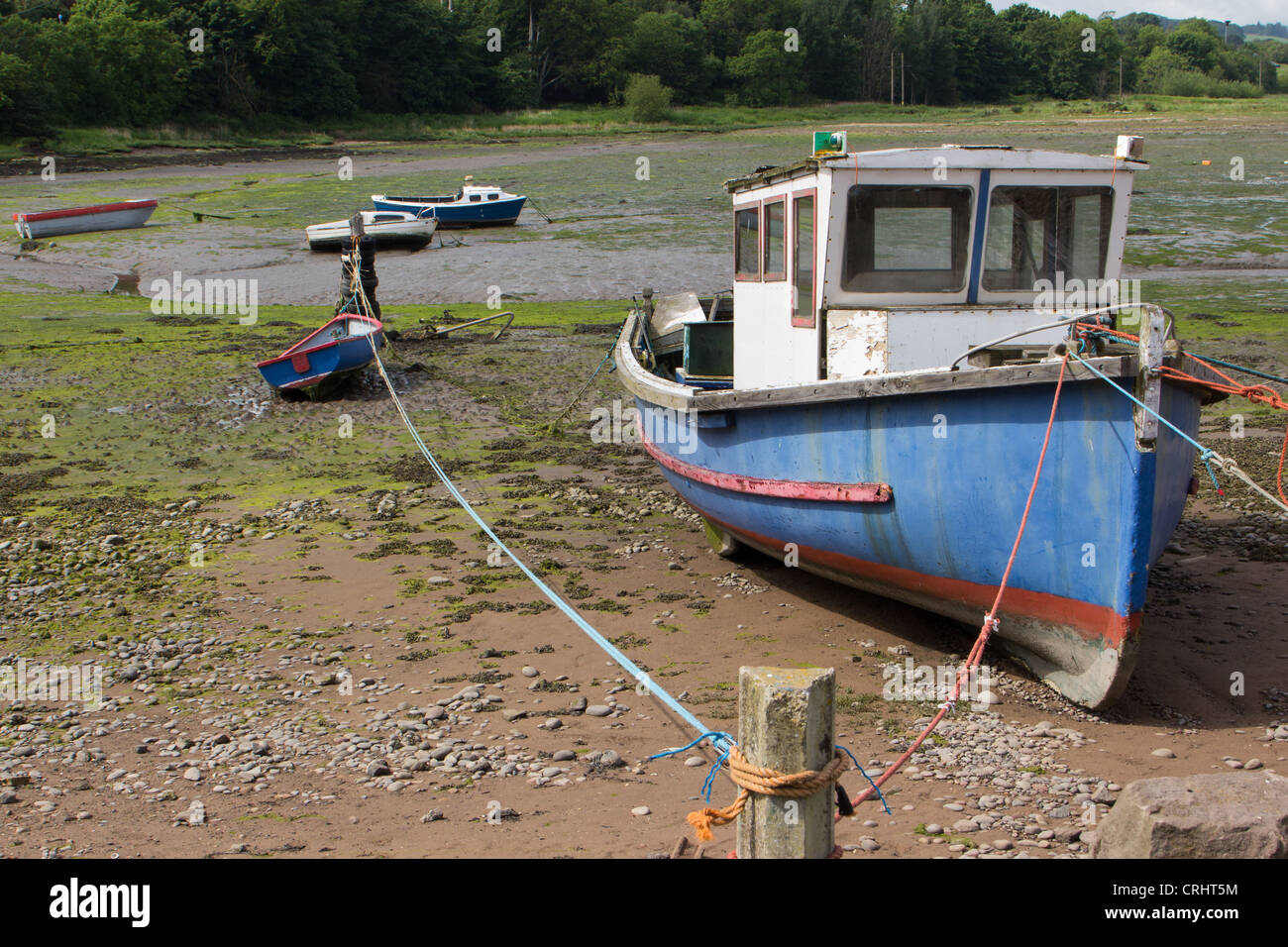 Montrose basin hi-res stock photography and images - Alamy