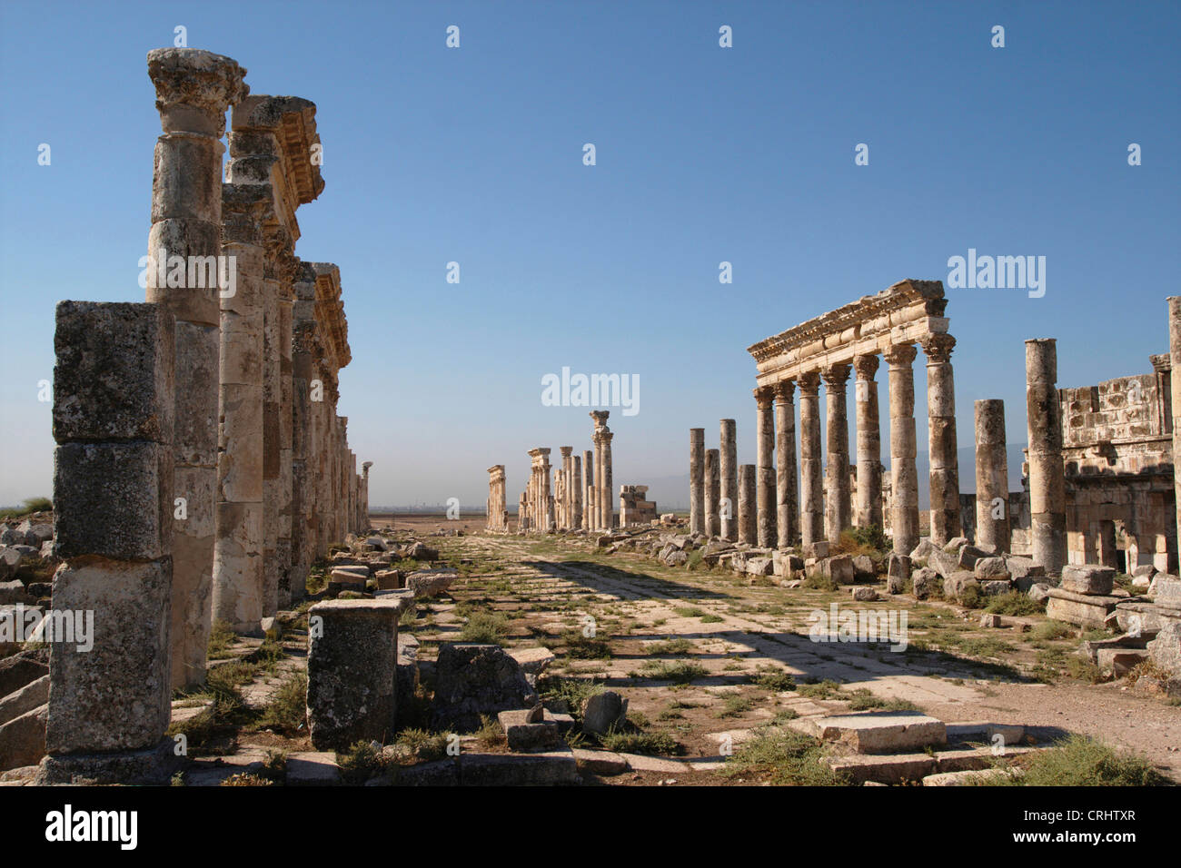 Roman town Apamea, Syria Stock Photo - Alamy