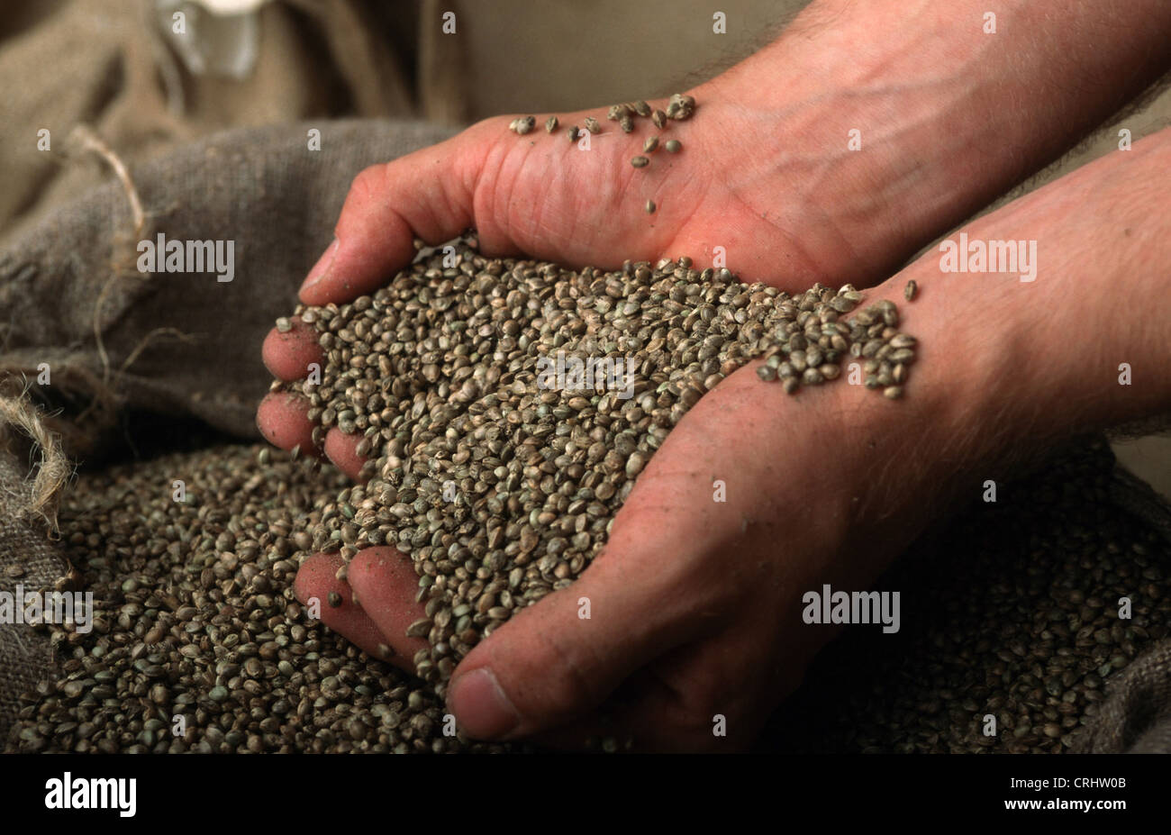 German cannabis hi-res stock photography and images - Alamy