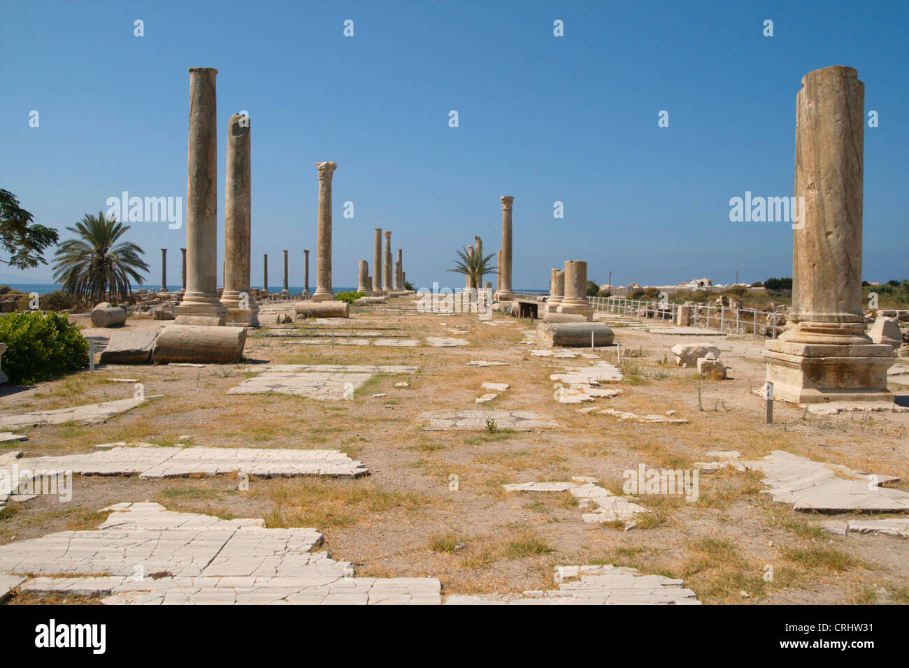 Ancient tyre hi-res stock photography and images - Alamy