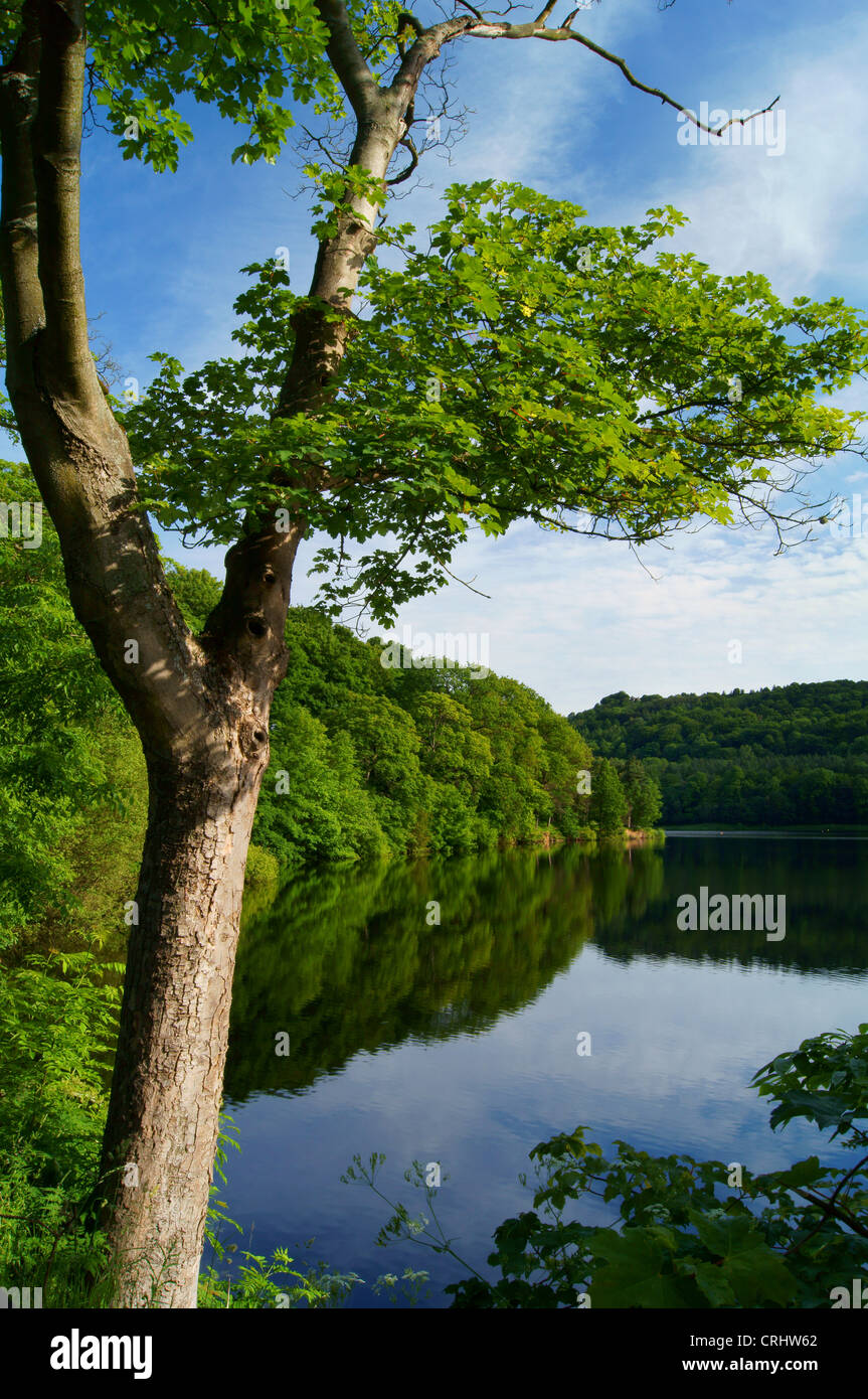 Damflask reservoir sheffield hi-res stock photography and images - Alamy