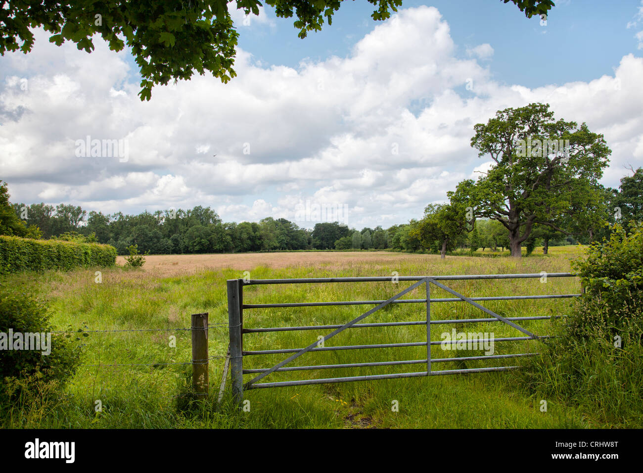 Cobham surrey uk hi-res stock photography and images - Alamy