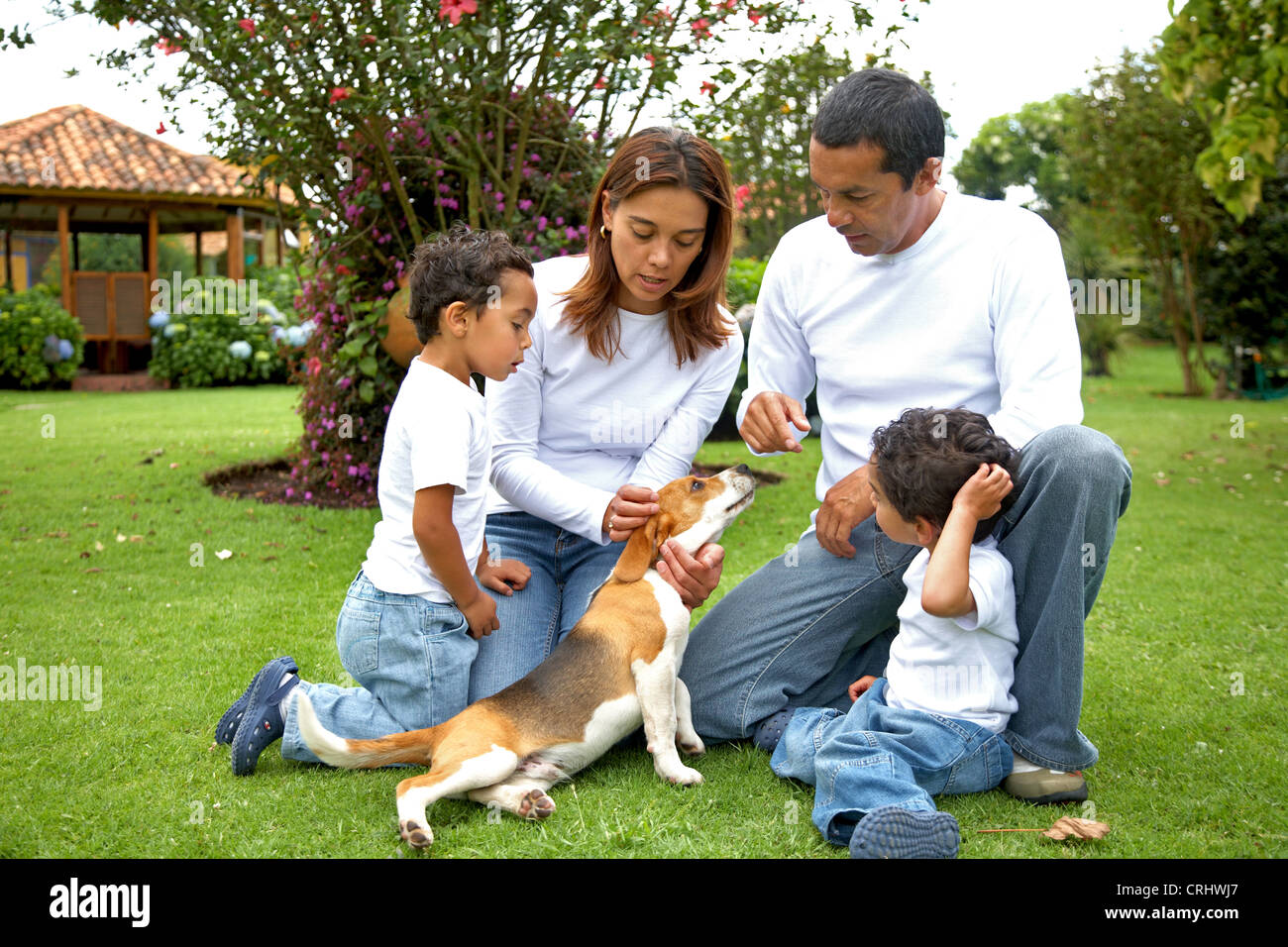 happy family at home outdoors looking after their dog Stock Photo - Alamy