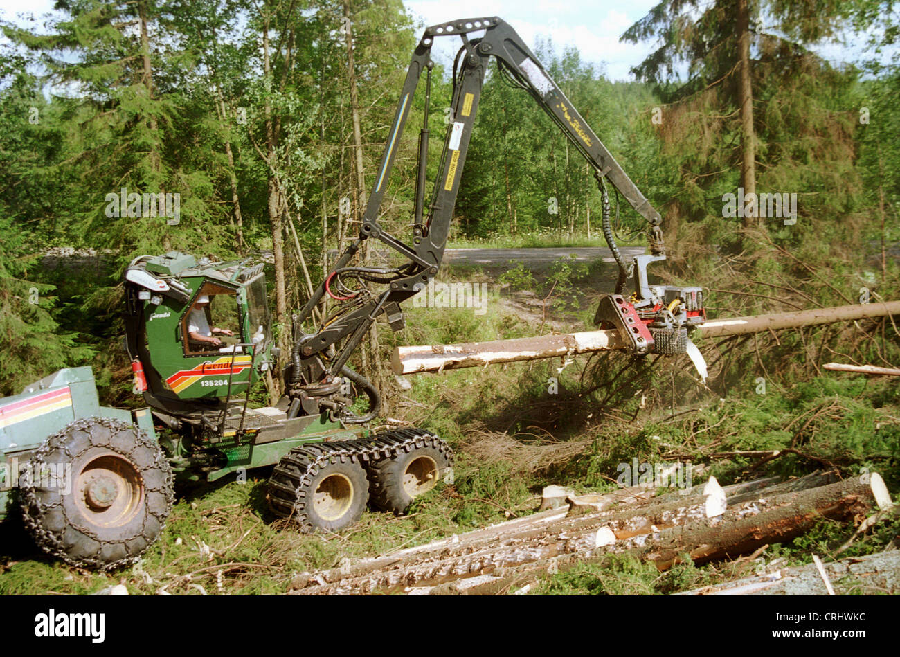 Deforestation of the forest in Sweden Stock Photo - Alamy