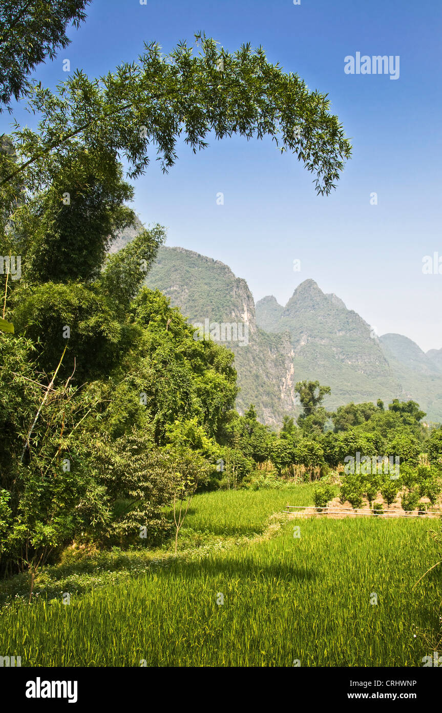 Landscape the Li river between Guilin and Yangshuo, Guangxi province ...