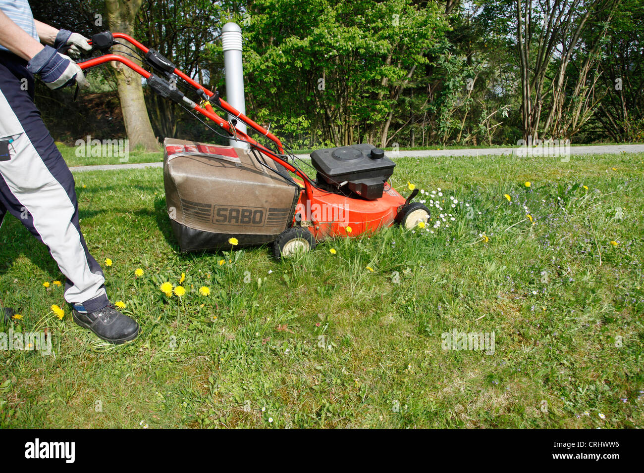 gardener with power mower Stock Photo - Alamy