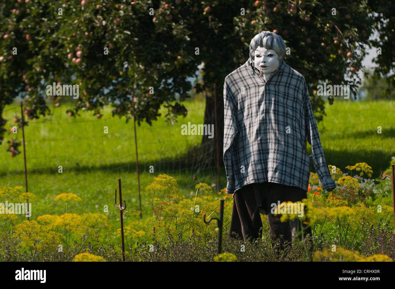 Scarecrow clothing hi-res stock photography and images - Alamy