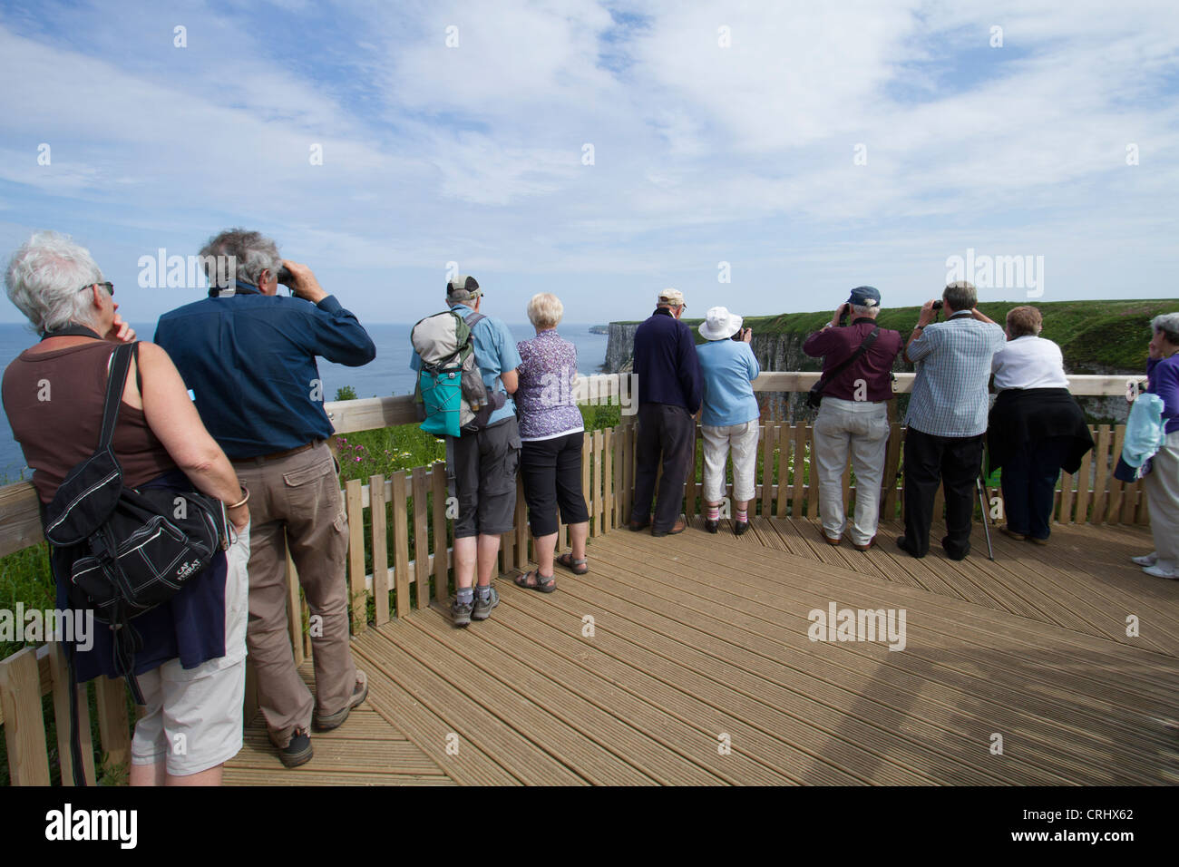 Bird watchers on viewing platforms at Bempton Cliffs, Yorkshire Stock ...