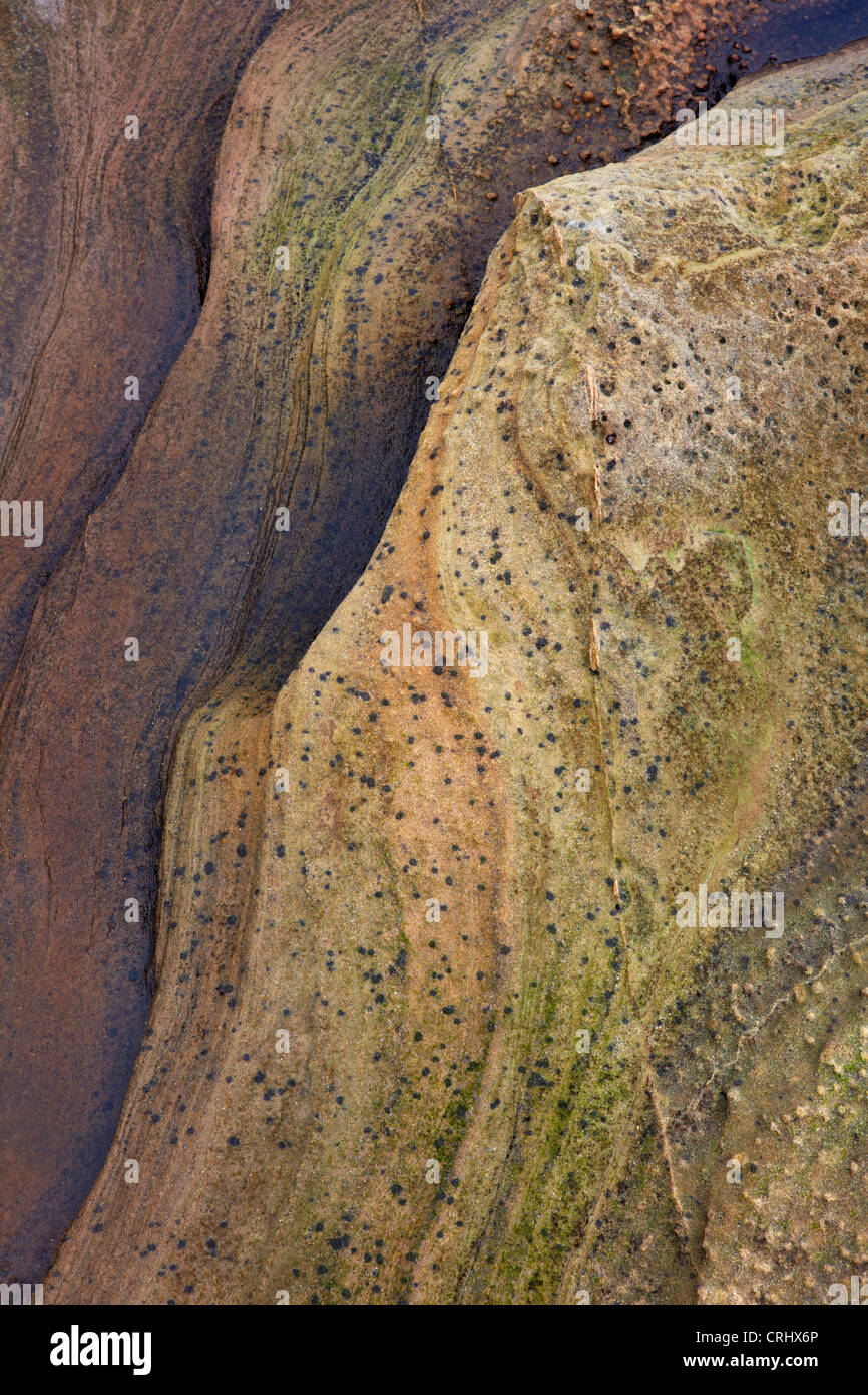 Shorline geological detail from Corrie, Isle of Arran, Scotland Stock ...