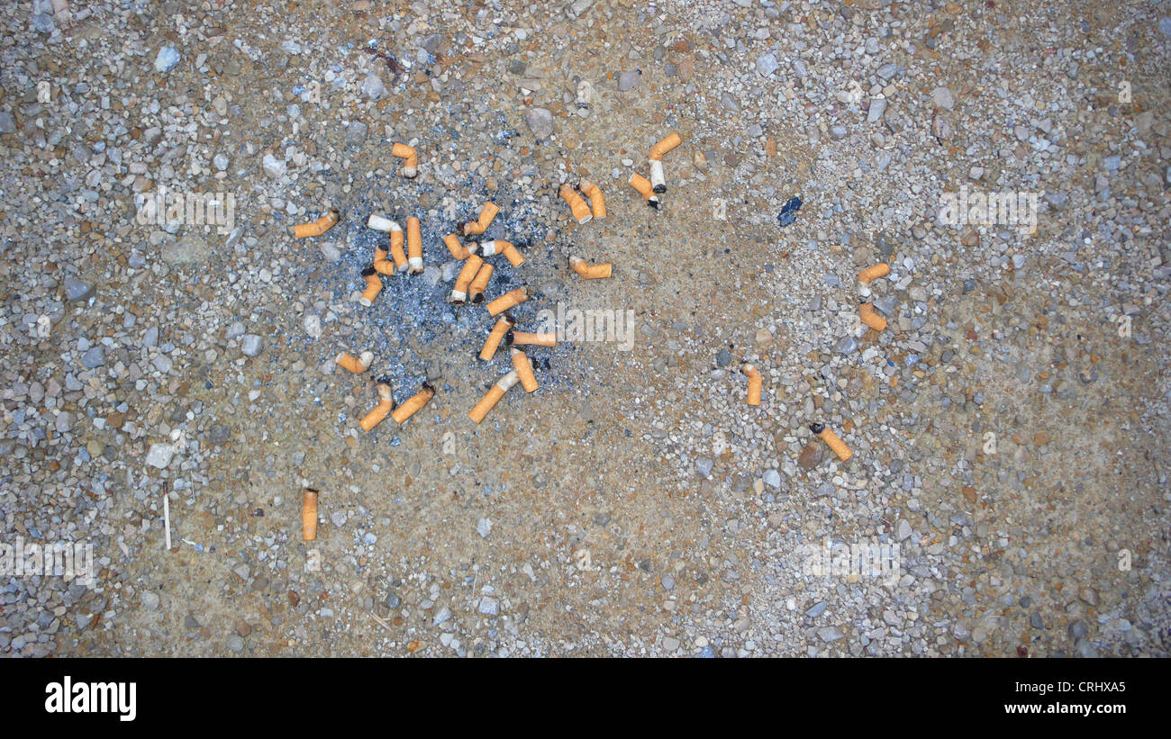 scrunched cigarette stubs on the ground Stock Photo - Alamy