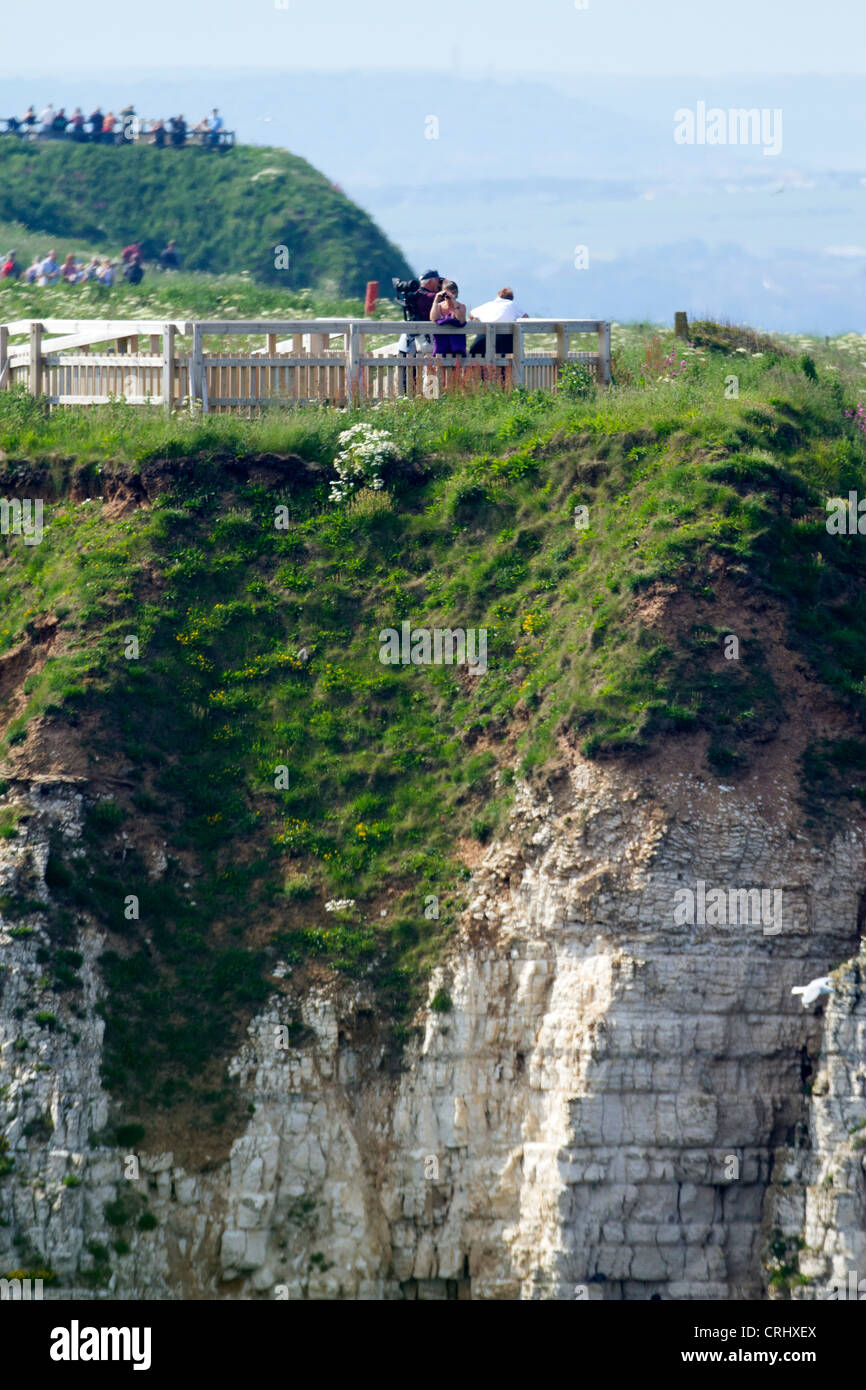 Bird watchers on viewing platforms at RSPB reserve Bempton Cliffs ...