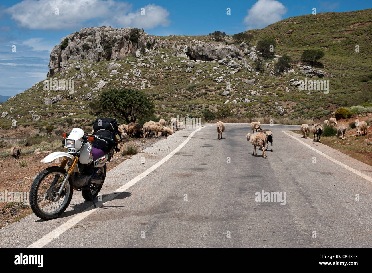 Sfinari hi-res stock photography and images - Alamy