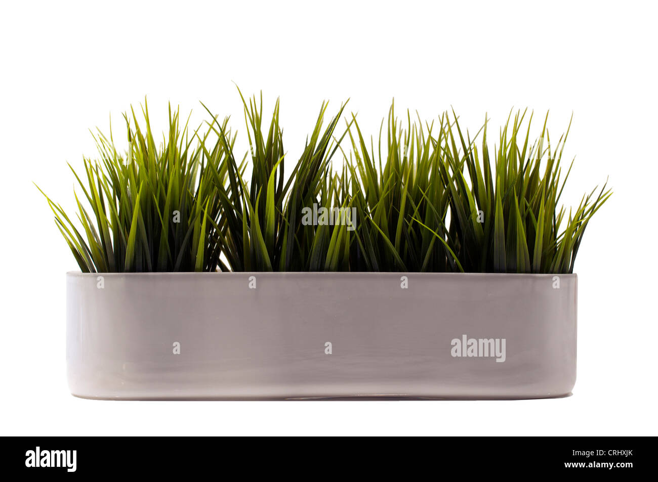 Small green grass in Cut Out Stock Images & Pictures - Alamy