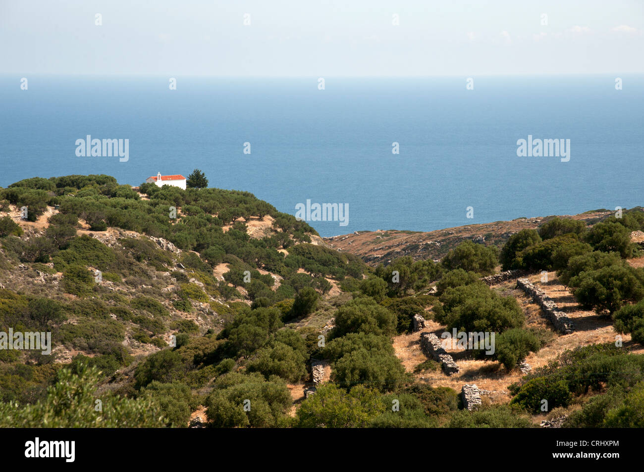 Seles hi-res stock photography and images - Alamy