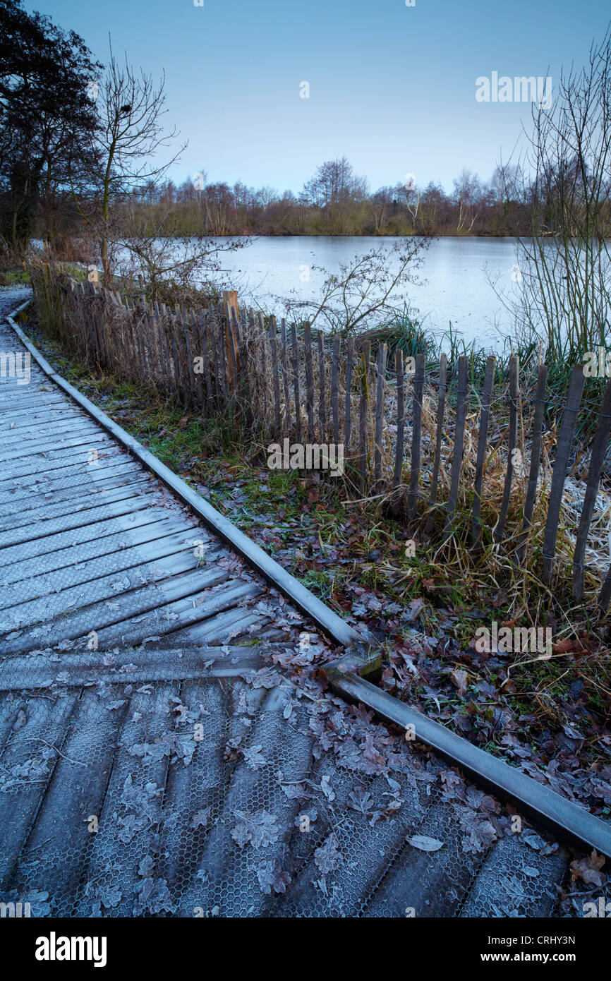 A frosty January morning at Salhouse Broad in the Norfolk Broads Stock ...