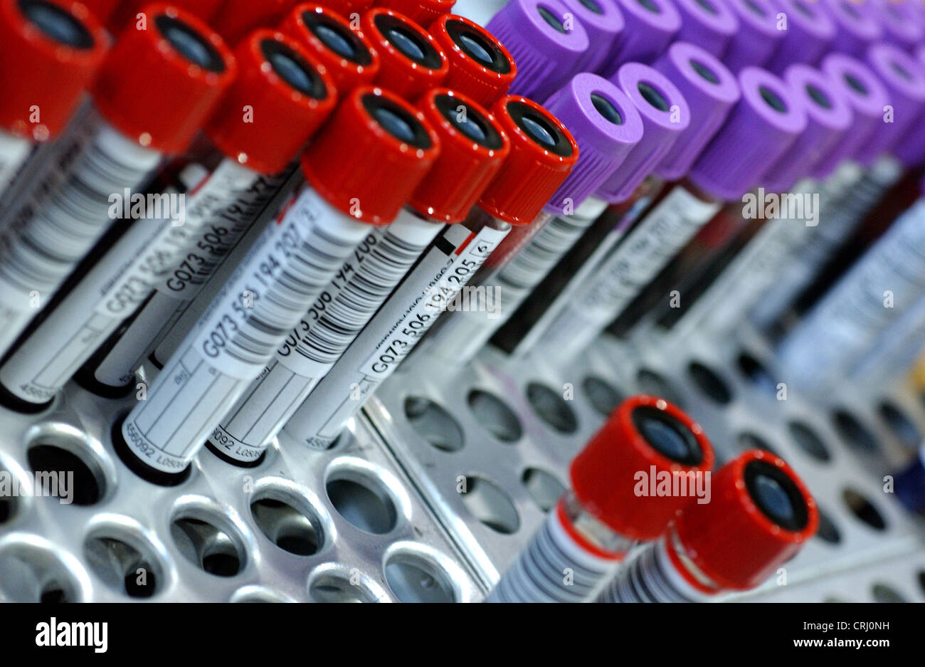 Samples of donated blood in vacutainer test tubes with red and purple ...