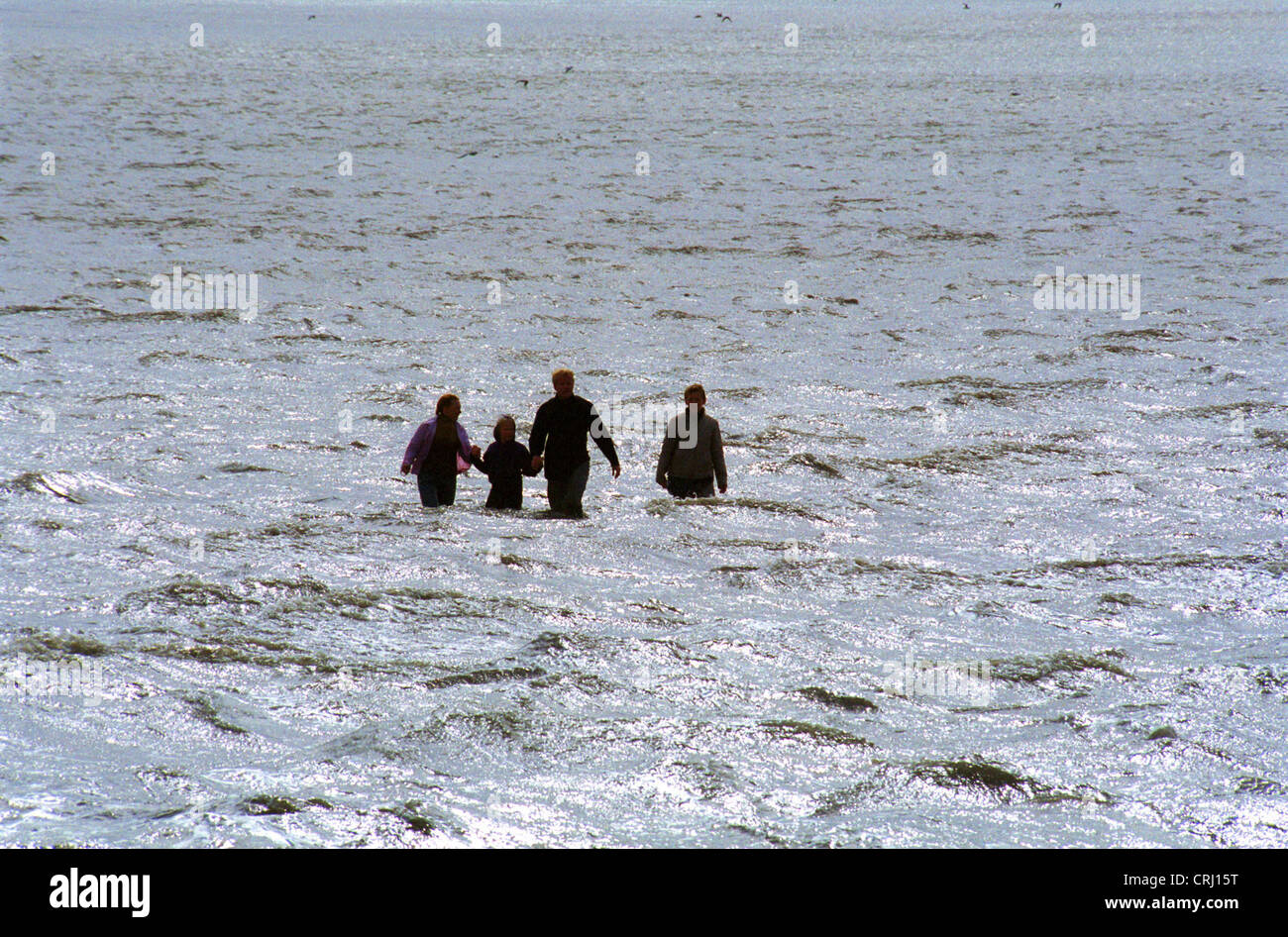 Distress, when the tide comes Stock Photo - Alamy