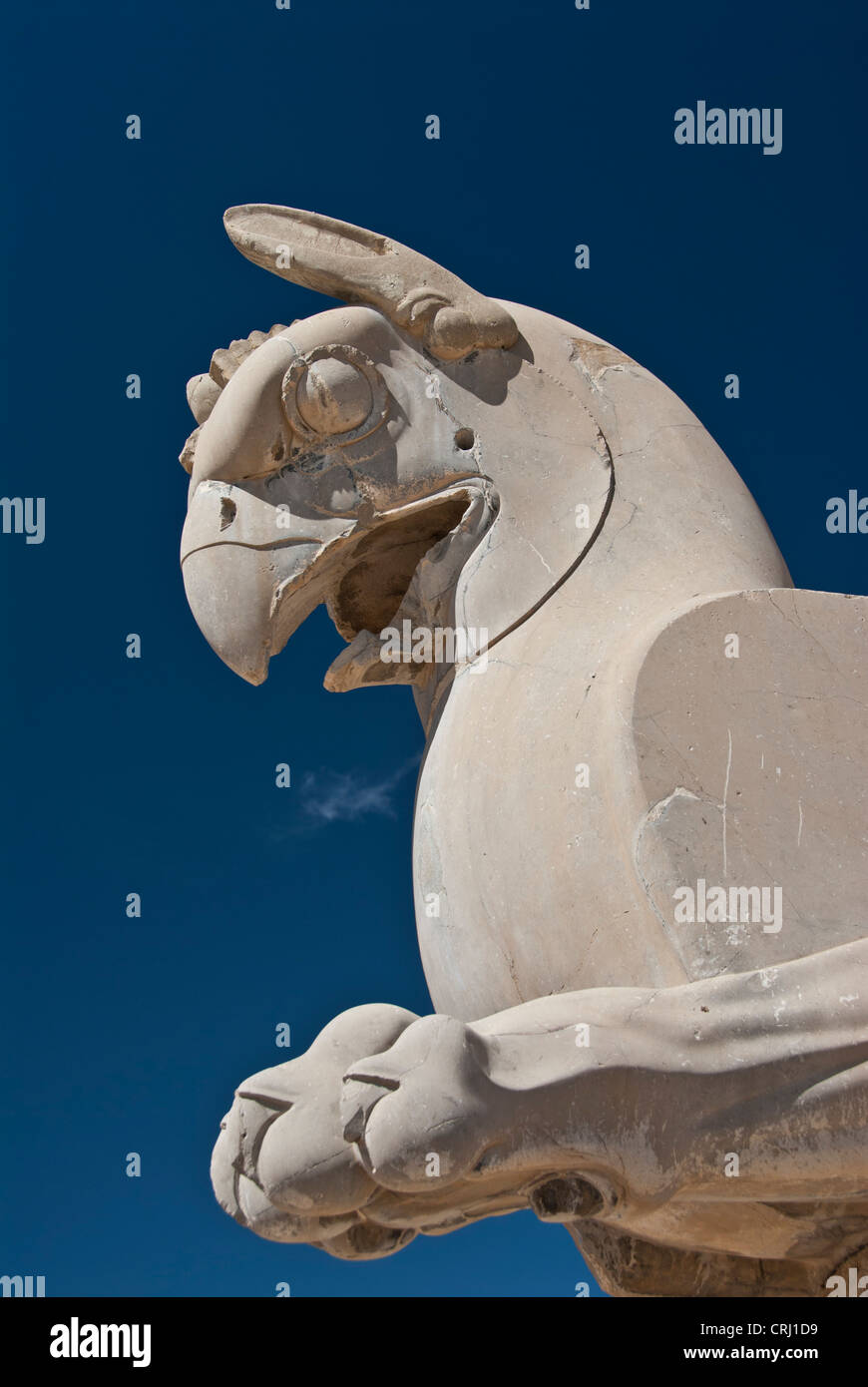Persian Griffin Persepolis Shiraz Iran Stock Photos & Persian Griffin ...