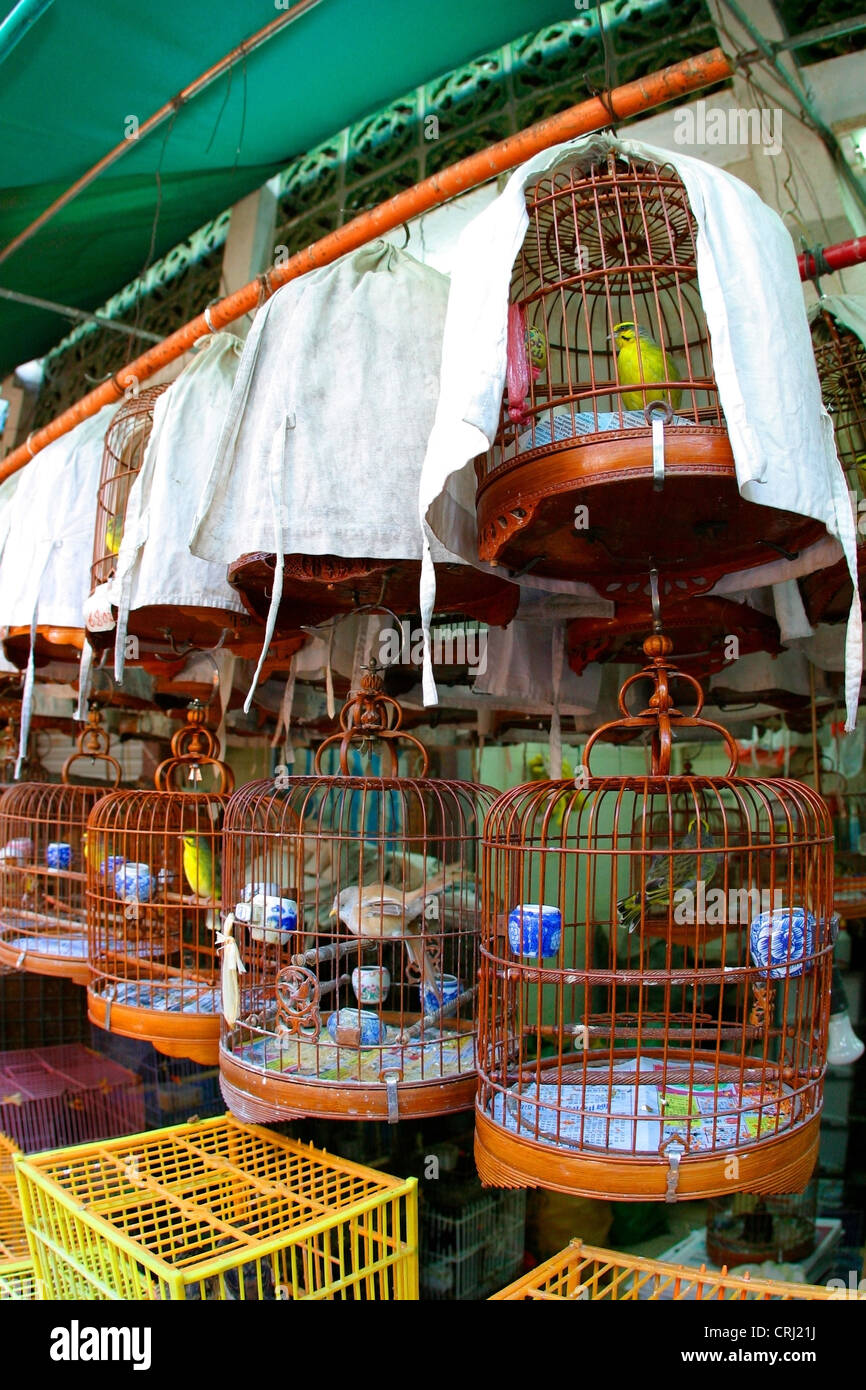Bird Market in Hong Kong, China, Hong Kong Stock Photo - Alamy