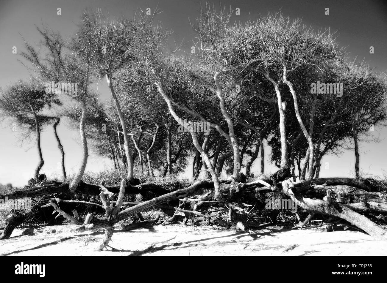 Washed out beach Black and White Stock Photos & Images - Alamy