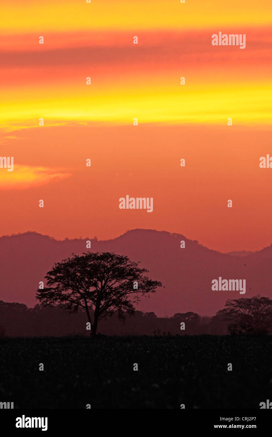 Guanacaste costa rica landscape hi-res stock photography and images - Alamy