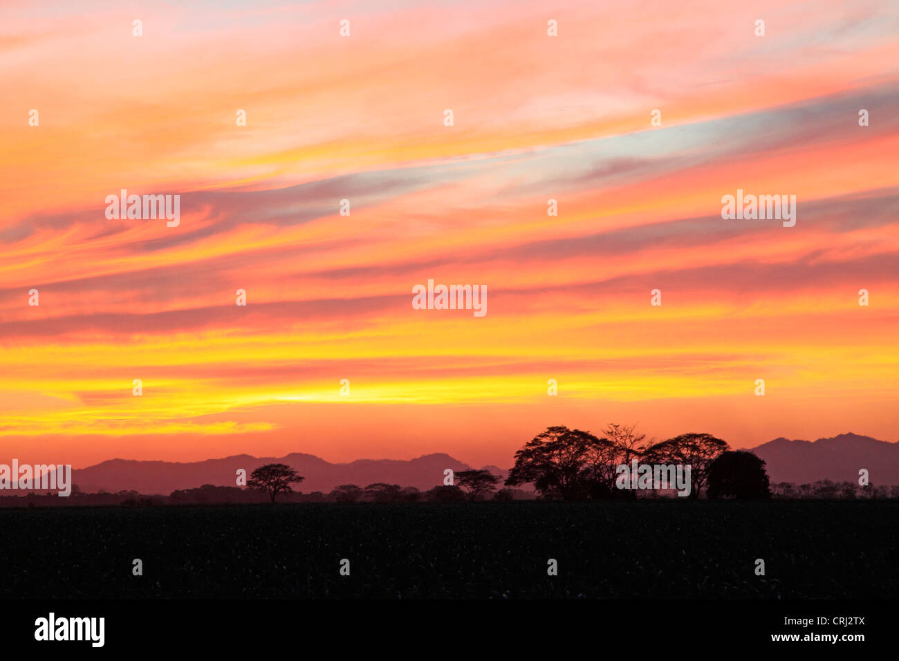 Guanacaste costa rica landscape hi-res stock photography and images - Alamy