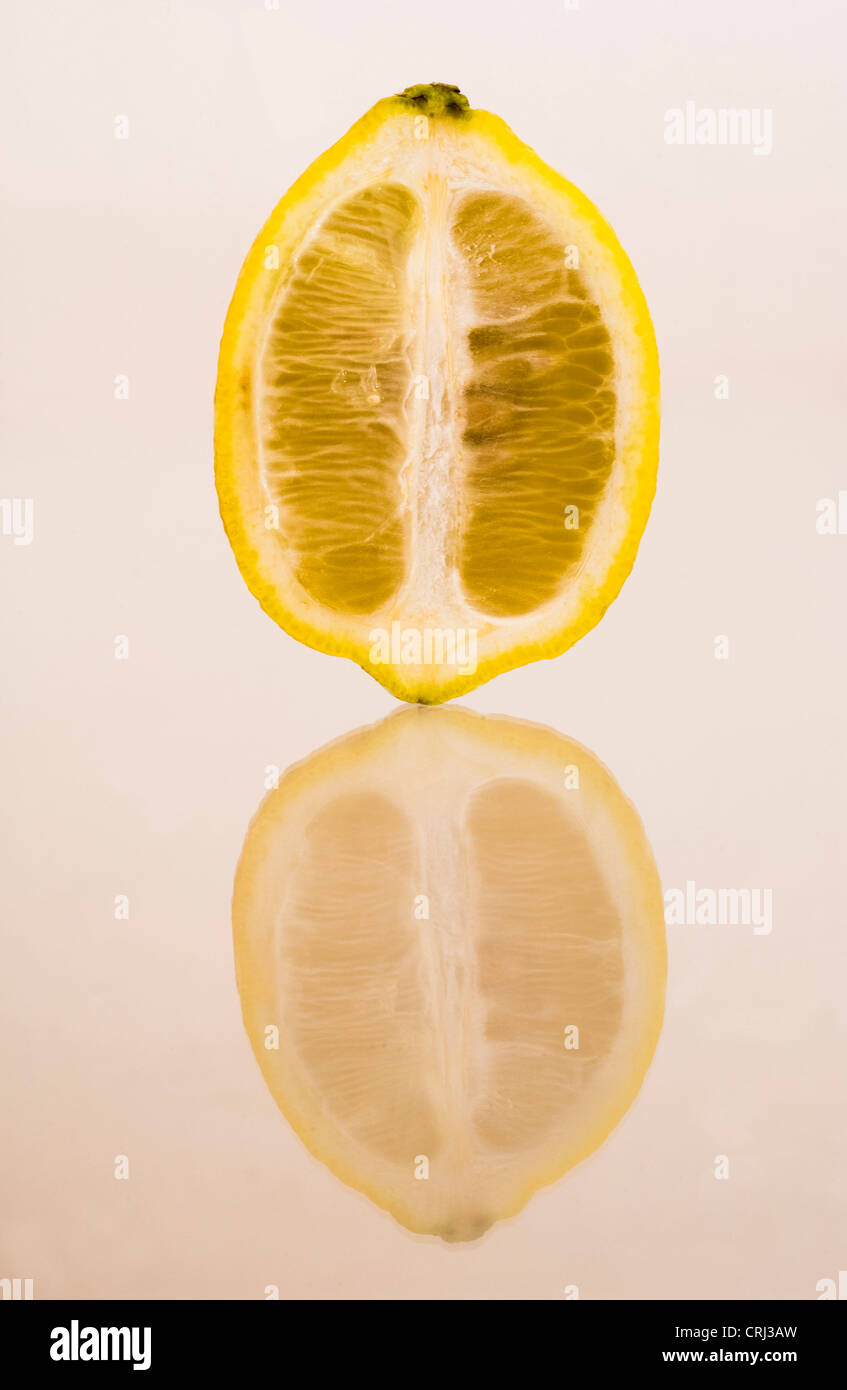 Sliced lemon. Lemons are rich in vitamin c and are essential for ...