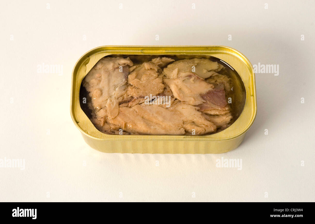 Can Canned Fish Food Food stuff Food stuffs Half open Healthy Meat ...