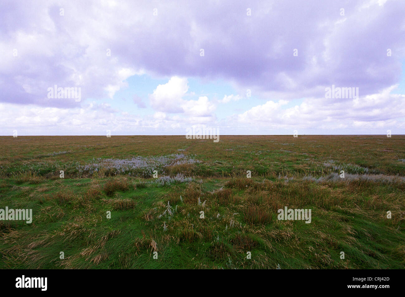 North German lowland Stock Photo - Alamy